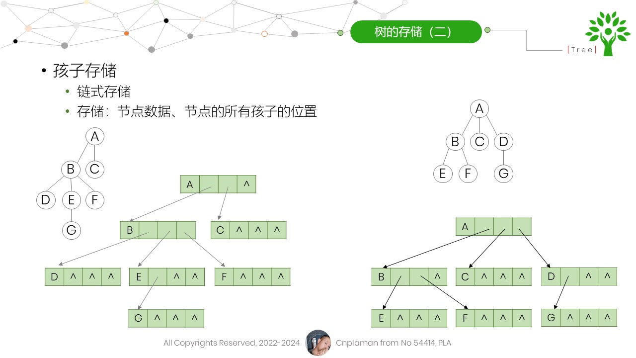 树 Tree 树 Tree